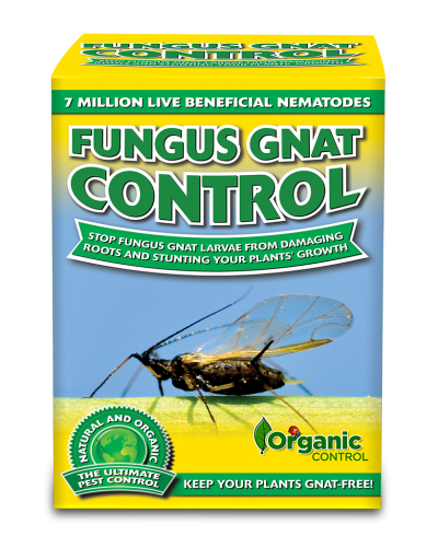 Fungus Gnat Control - Organic Control, Inc.